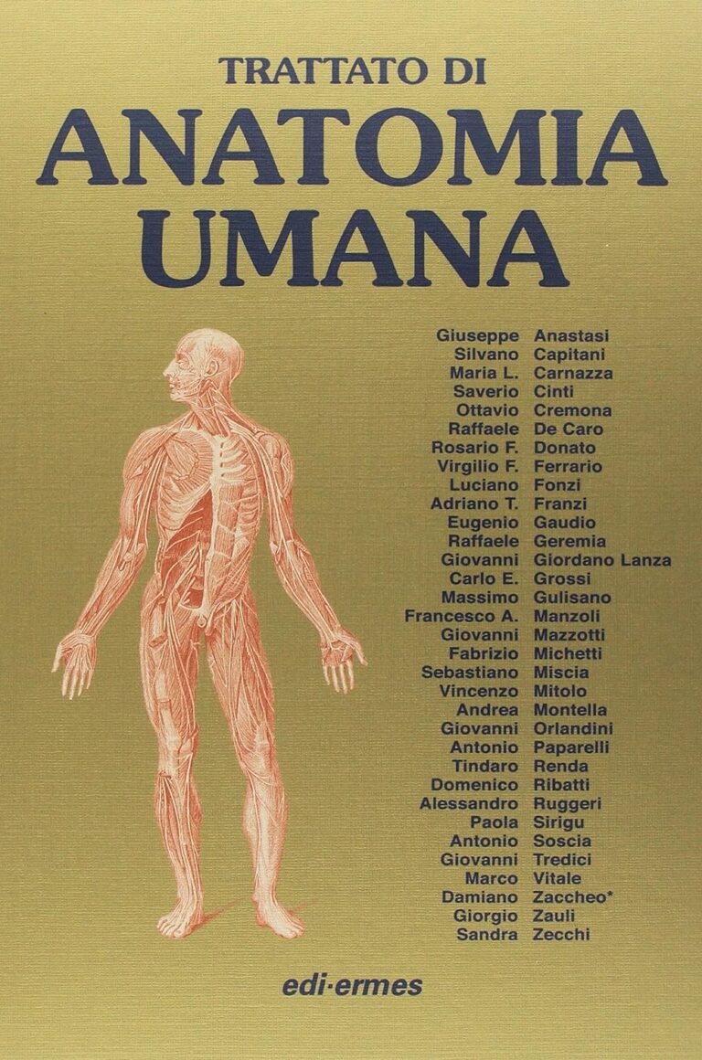 La vena giugulare interna e la vena giugulare esterna – Bald Mountain ...