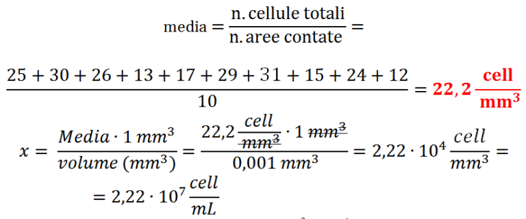 Relazione sulla conta microbica con camera di Burker – Bald Mountain ...